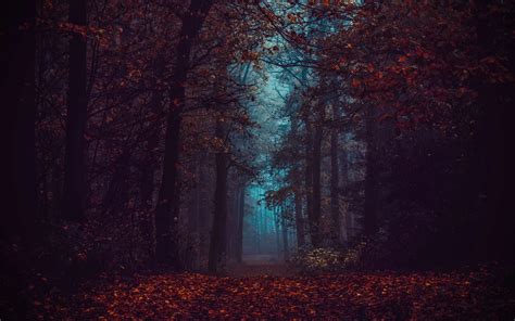 Fall Desktop Aesthetic Wallpapers Wallpaper Cave