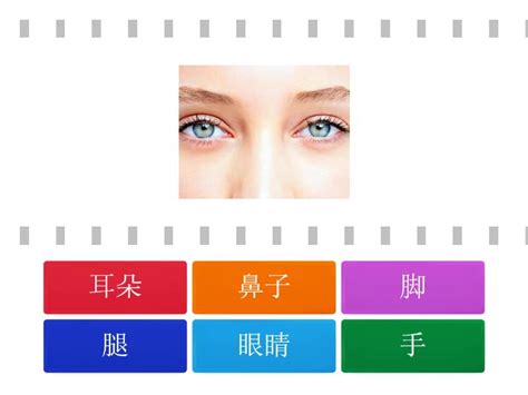 Части тела Найди пару