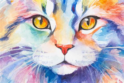 現実的な方法で白い背景に水彩で描かれたノルウェージャン フォレスト キャット カラフルな虹 教材の本や自然をテーマにしたデザインに最適 猫の