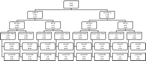 Endocervical Margin Status In Specimens With A Cone Length ≤ 10 Mm