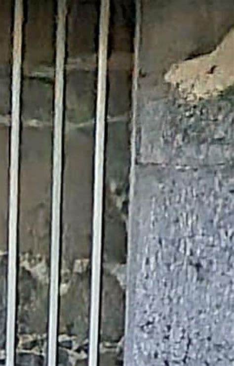 This Legendary Shapeshifting Púca Was Caught On Camera At An Irish