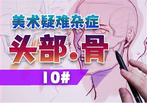 美术疑难杂症10 头部与骨骼顶级理解超详细长视频必看 Tm教你画画 Tm教你画画 哔哩哔哩视频