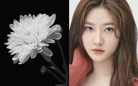 故 김새론 유족 “유튜브 영상 올라온 날 자살 시도”…법적대응 예고 서울신문