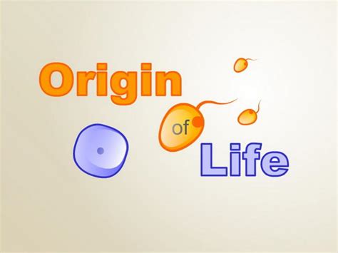 Origin Of Life Sexual Intercourse Fertilization The Family Planning Association Of Hong Kong