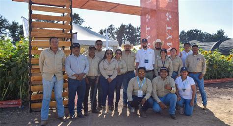 Innovación Para Un Campo Sostenible Cimmyt