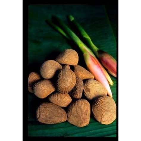 Jual Picung Keluakkluwek Fresss 1kg Jual Mentah Masih Ada Batok Nyah