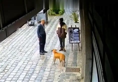 Irkçı şarkı çalmadı Diye Müzisyeni Komaya Soktu JÖntÜrk