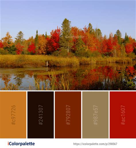 17 Bog Color Palette Ideas In 2024 Icolorpalette