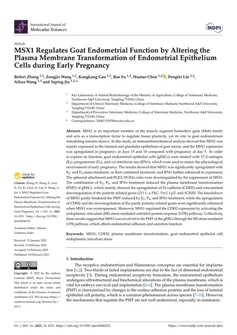 Pdf Msx1 Regulates Goat Endometrial Function By Altering The Plasma