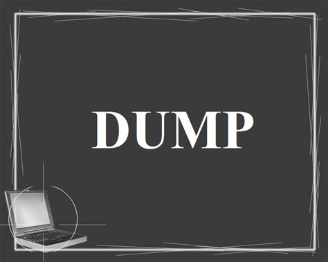 cấu trúc và cách dùng từ dump trong câu tiếng anh