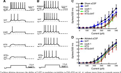 Figure 2 From Hearing Loss Alters Serotonergic Modulation Of Intrinsic Excitability In Auditory