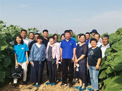 国内首家向日葵种业创新联合体成立暨向日葵揭榜挂帅项目启动会议在五原举行 三瑞农科