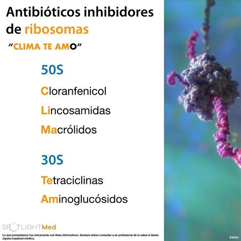 An Advertisement With The Words Antibioticos Inflididores De Ribbosomas
