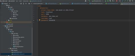 Mac Pro M1黑马 苍穹外卖 部署：nginx Mysql Idea黑马点评 Nginx Mac Csdn博客