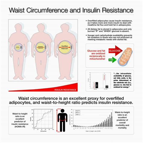 What You Need To Know About Insulin Resistance — Diet Doctor