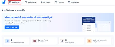 How Can I Add And Manage Accesswidget Subscriptions Using Api Or Csv