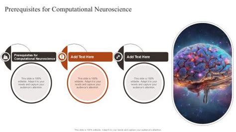 Prerequisites For Computationals Neuroscience PowerPoint Presentation