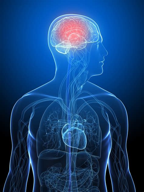 Computer Assisted Craniotomy Nspc Brain And Spine Surgery