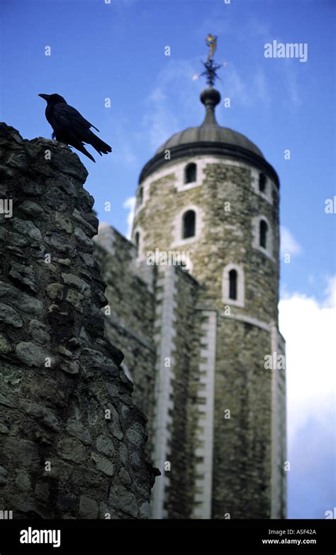 The Tower Of London One Of The Towers With Crows Perched On The Wall