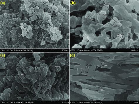Field Emission Scanning Electron Microscope Fesem Micrographs