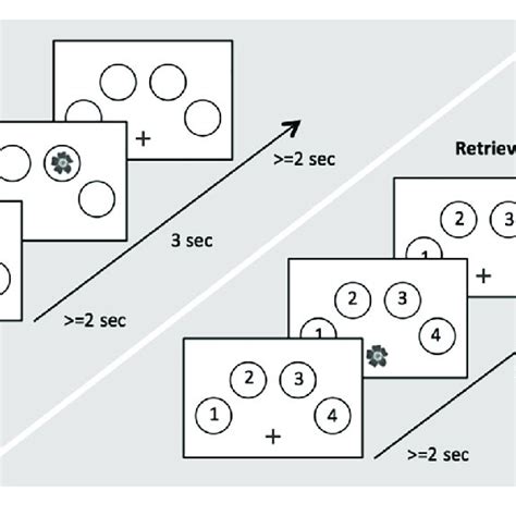 Task Related Fmri Data During Encoding And Retrieval Download Table