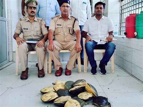 Assigned To Forest Department Rpf And Grp Team Was Checking On