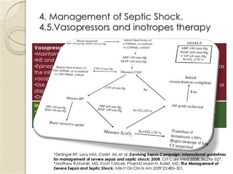 management of septic shock