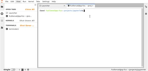 Terminal Is Blank When Re Opening Terminal Tab No Scrollback Is Available · Issue 10633