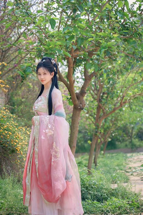 年年 海棠仙 V2ph