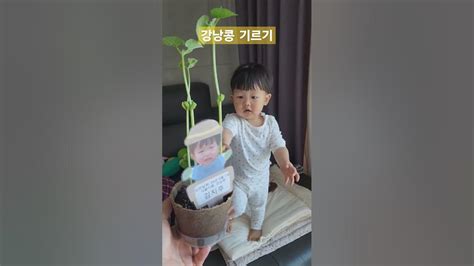 영아놀이 강낭콩 기르기 책육아 놀이 양육 말연습 아빠육아 육아 육아에세이 그림책읽어주기 아이코칭 영아놀이 육아철학 육아노하우 Youtube