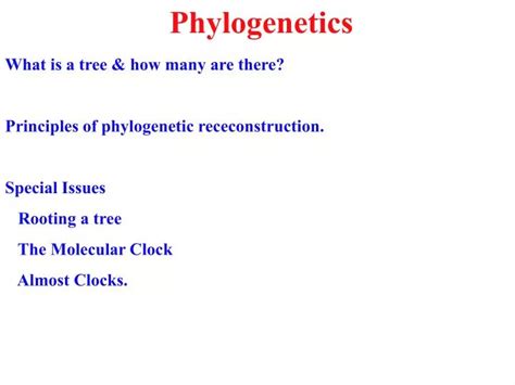 Ppt Phylogenetics Powerpoint Presentation Free Download Id 4590364