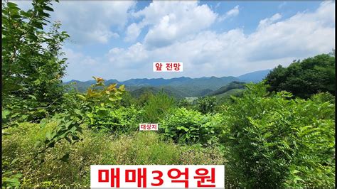 충북 단양군 영춘면 장발리 넉넉한 면적의 자연인토지 Youtube