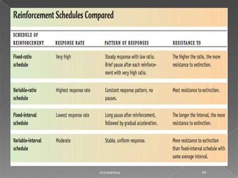 Types Of Reinforcement Schedules