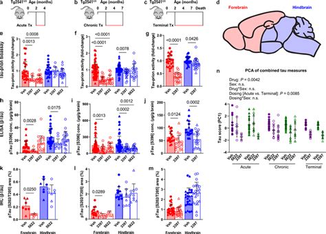 Csf1r Inhibition By Three Treatment Paradigms Reduces Pathogenic Tau Download Scientific