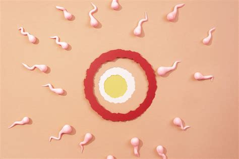 Ovulatory Dysfunction Archives Aub