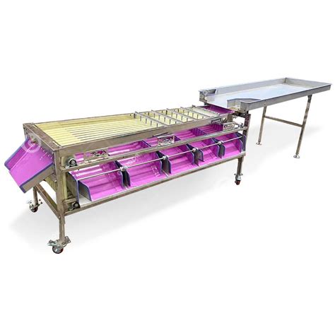 Orbital Fruit Blueberry Sorting Grading Equipment Gondor Machinery