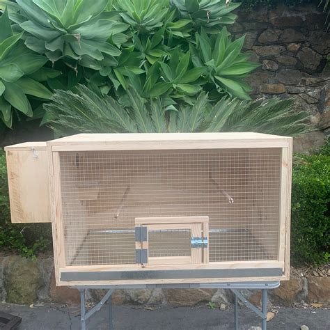 Cockatiel Breeding Cabinet With External Nest Box Mrbirdbox