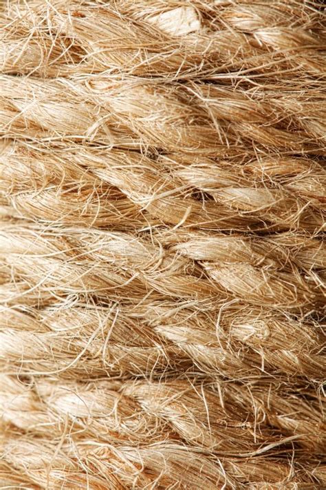 Detail Of A Spool Of Twine Stock Image Image Of Packing 21941763