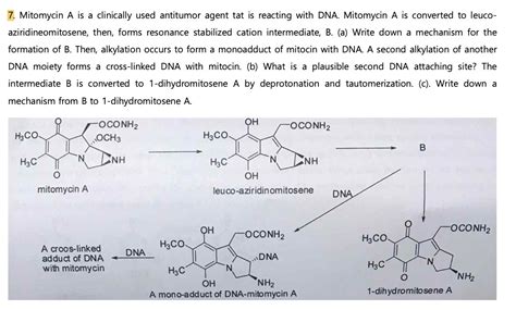Solved 7 Mitomycin A Is A Clinically Used Antitumor Agent