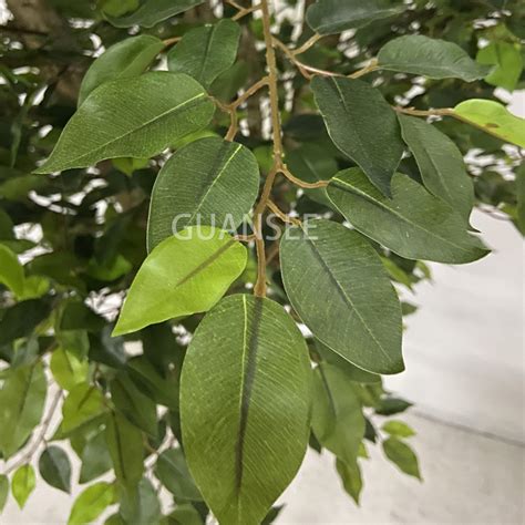 High Quality Large Artificial Ficus Tree Guansee