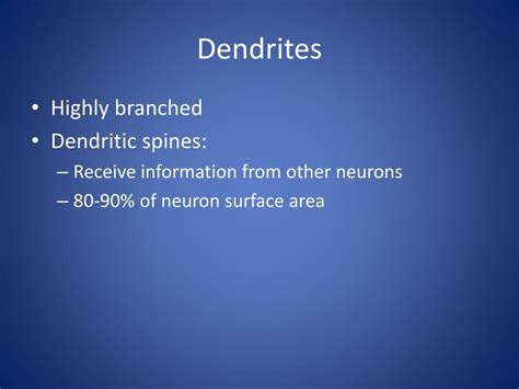 Ppt Understanding The Nervous System Functions And Divisions