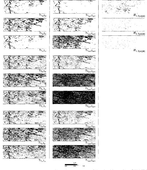 Figure 1 From Multibaseline Pol Insar Experiment For The Estimation Of