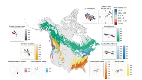 Map Of Present 2000 2019 Forest Type Classification As Well As The