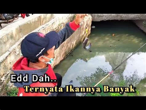 Mancing Di Selokan Kecil Kota Jakarta Ternyata Ikannya Banyakkk YouTube
