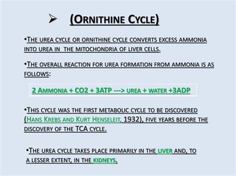 Urea Cycle Ornithine Cycle Pptx