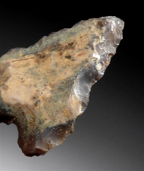 Supreme African Middle Stone Age Aterian Tanged Point Oldest Known
