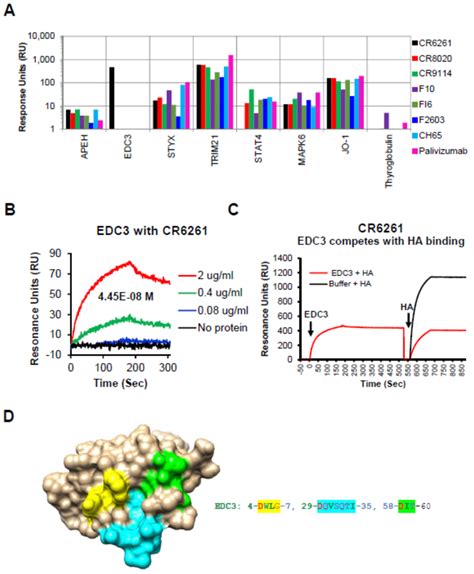 Reactivity Of Human Proteins To Bnabs In Surface Plasmon Resonance Download Scientific Diagram