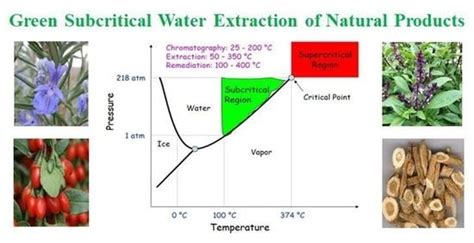 Subcritical Water Extraction Of Natural Products