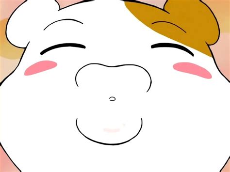 에비츄 짤 모음 네이버 블로그