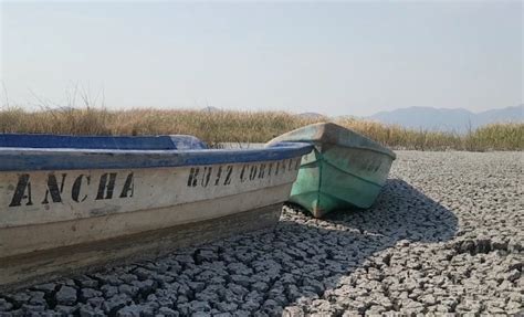 El lago Cuitzeo está a punto desaparecer Ahuizote